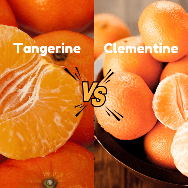 Tangerine vs. Clementine: What Are The Differences? • Recipes and Places