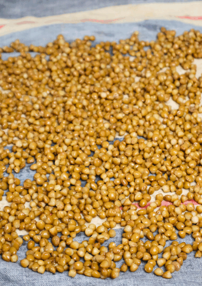 Crispy Lentils: Oven and Air Fryer Method