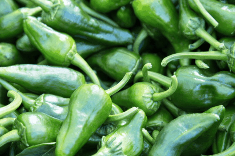 Padrón Peppers Recipe (Pimientos de Padrón) Spanish Tapas in 5 Minutes