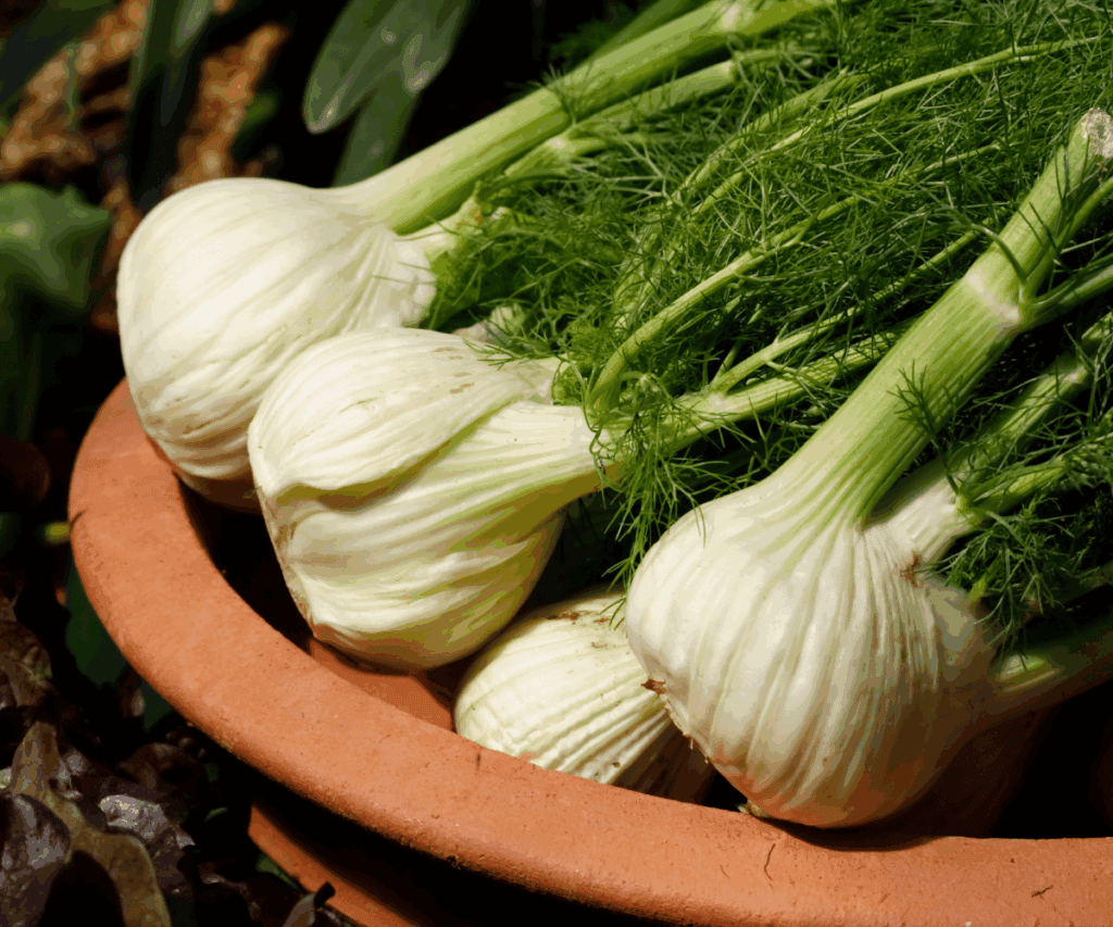 The Best Substitutes For Fennel - Bulb And Seed ( Ultimate Guide ...