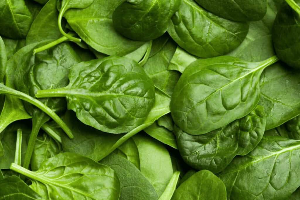 Bok Choy Substitutes - The 10 Best Alternatives For Every Dish ...