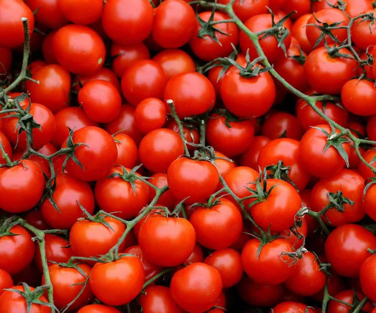 The Best Substitutes for Sun-Dried Tomatoes (Tomato And Non Tomato ...